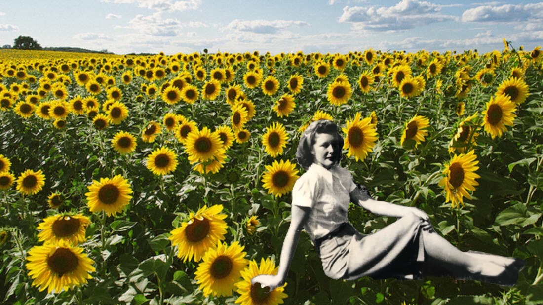 Shirley Catherine Walder